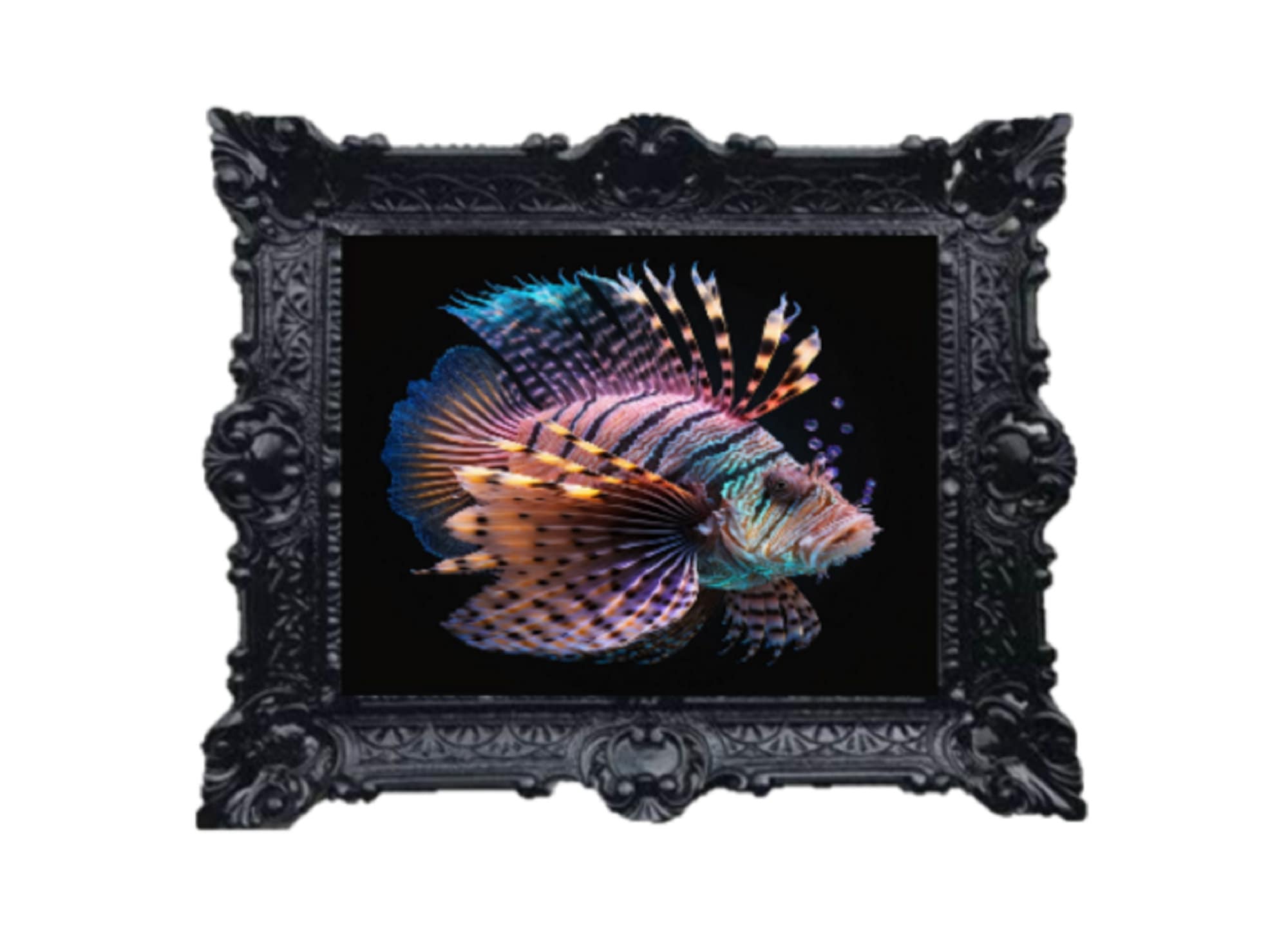 Digital Art Print Rainbow Lion Fish Bright and Colorful Aquatic Animal ...