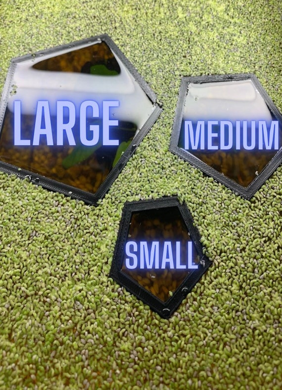 3 Pack Assorted Pentagon Floating Fish Feeder Food Separator | Etsy