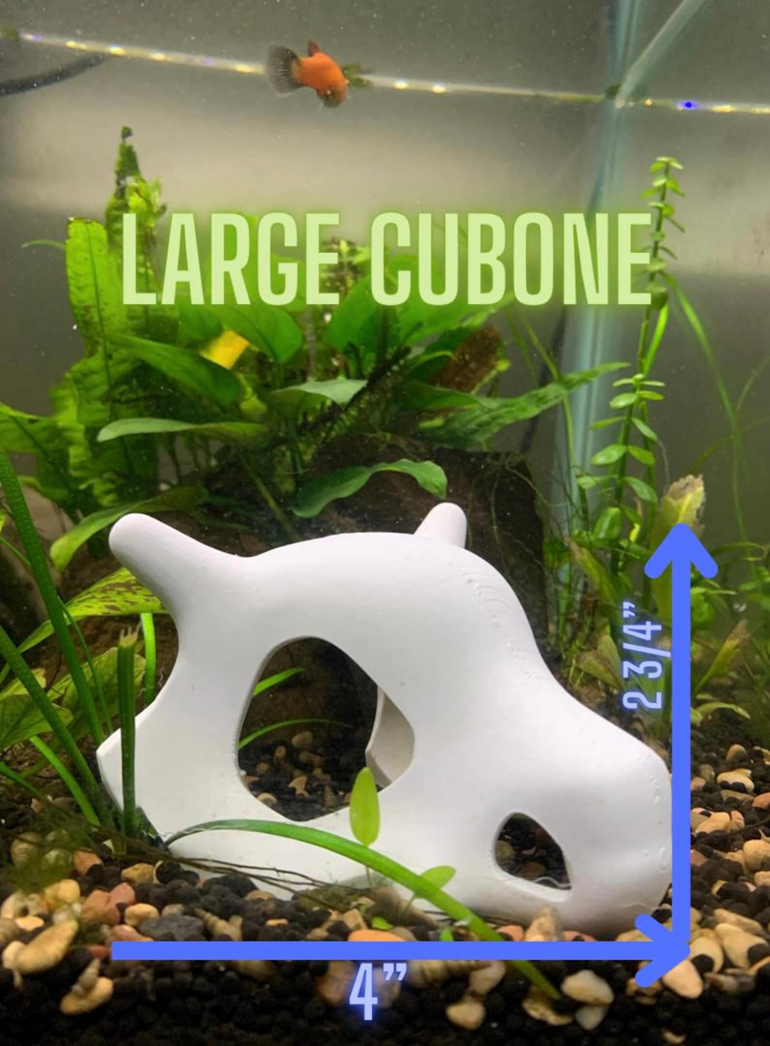 Pokémon Aquarium Decor - Pikachu, Eevee, Lugia, Shiny Mew, Umbreon ...