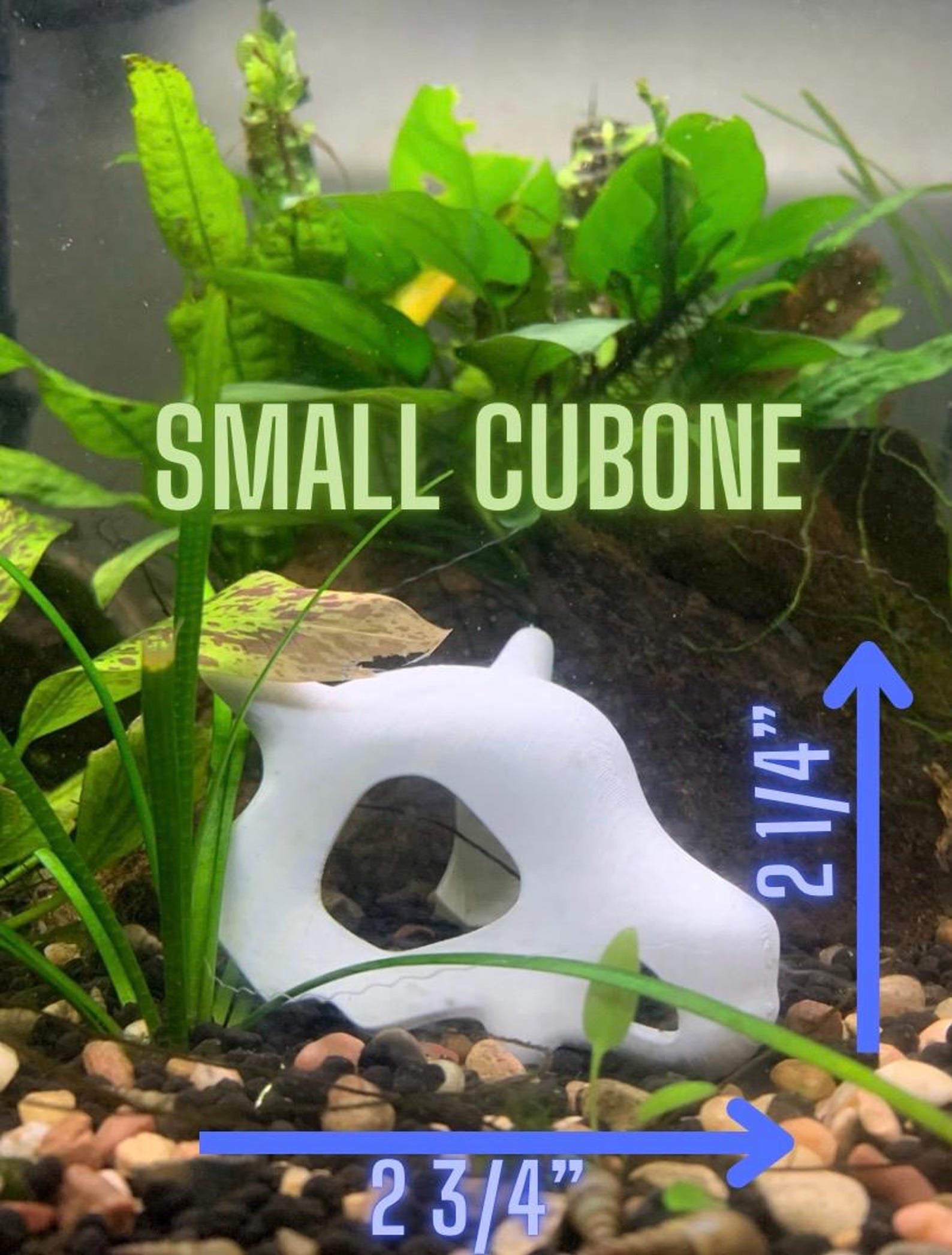 Pokémon Aquarium Decor - Pikachu, Eevee, Lugia, Shiny Mew, Umbreon ...