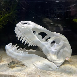 T Rex Aquarium Decoration | White Dinosaur Fish Tank Decor | Household ...