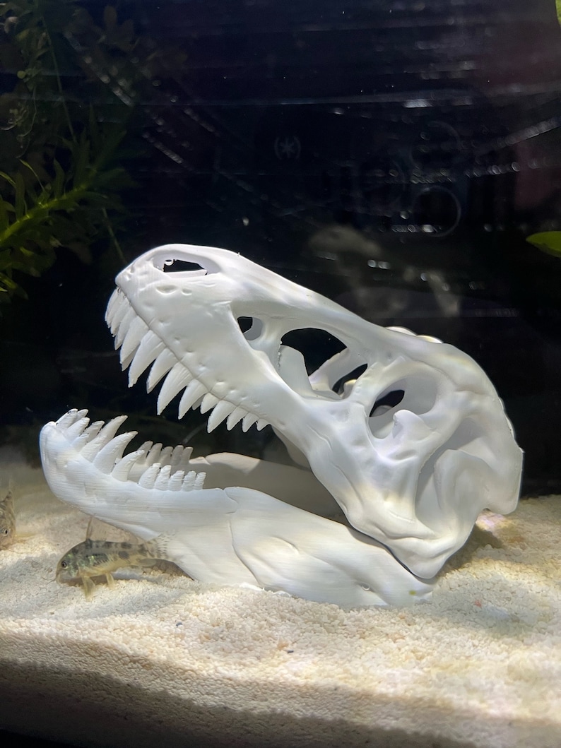 T Rex Aquarium Decoration White Dinosaur Fish Tank Decor - Etsy