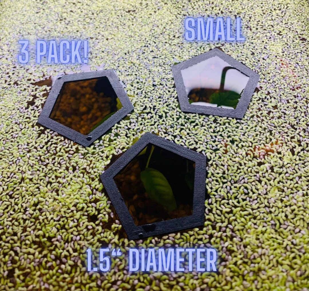 3 Pack **SMALL** Pentagon Floating Fish Feeder, Food Separator, Custom ...