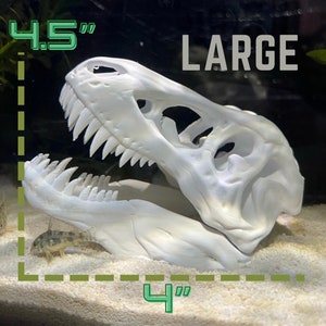 T Rex Aquarium Decoration | White Dinosaur Fish Tank Decor | Household ...