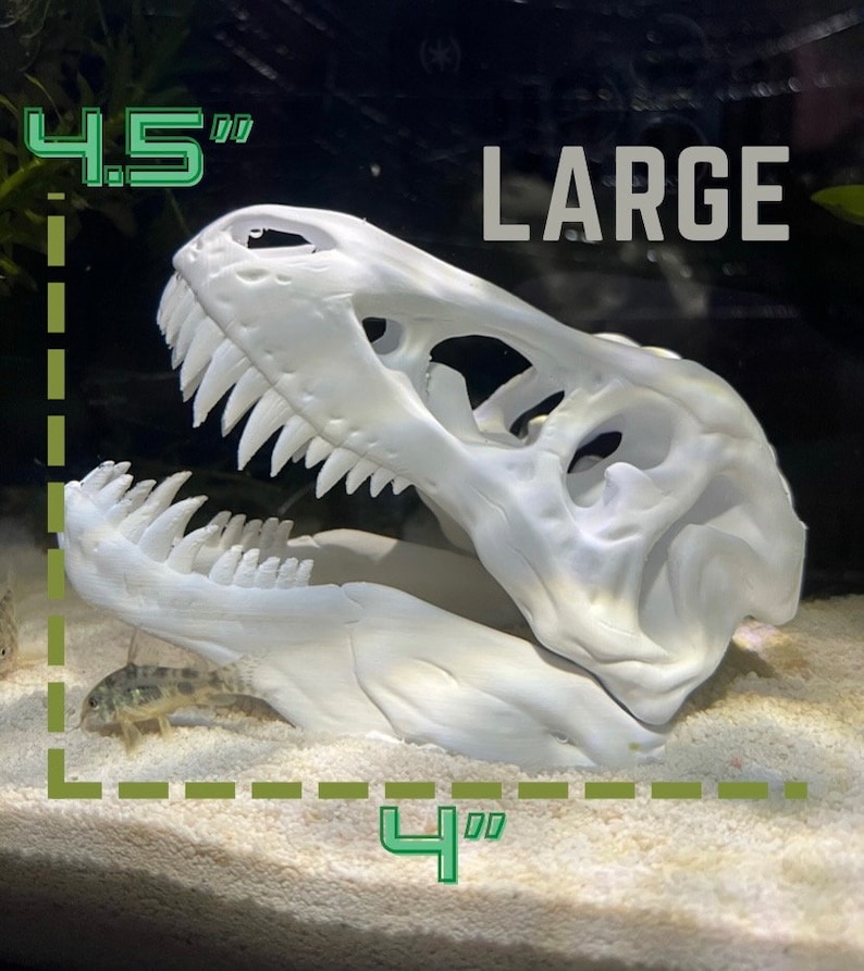 T Rex Aquarium Decoration White Dinosaur Fish Tank Decor - Etsy