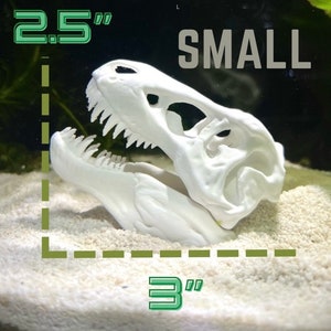 T Rex Aquarium Decoration | White Dinosaur Fish Tank Decor | Household ...