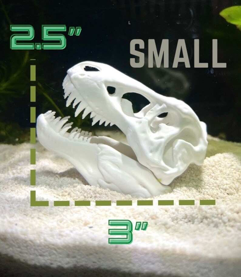 T Rex Aquarium Decoration White Dinosaur Fish Tank Decor - Etsy
