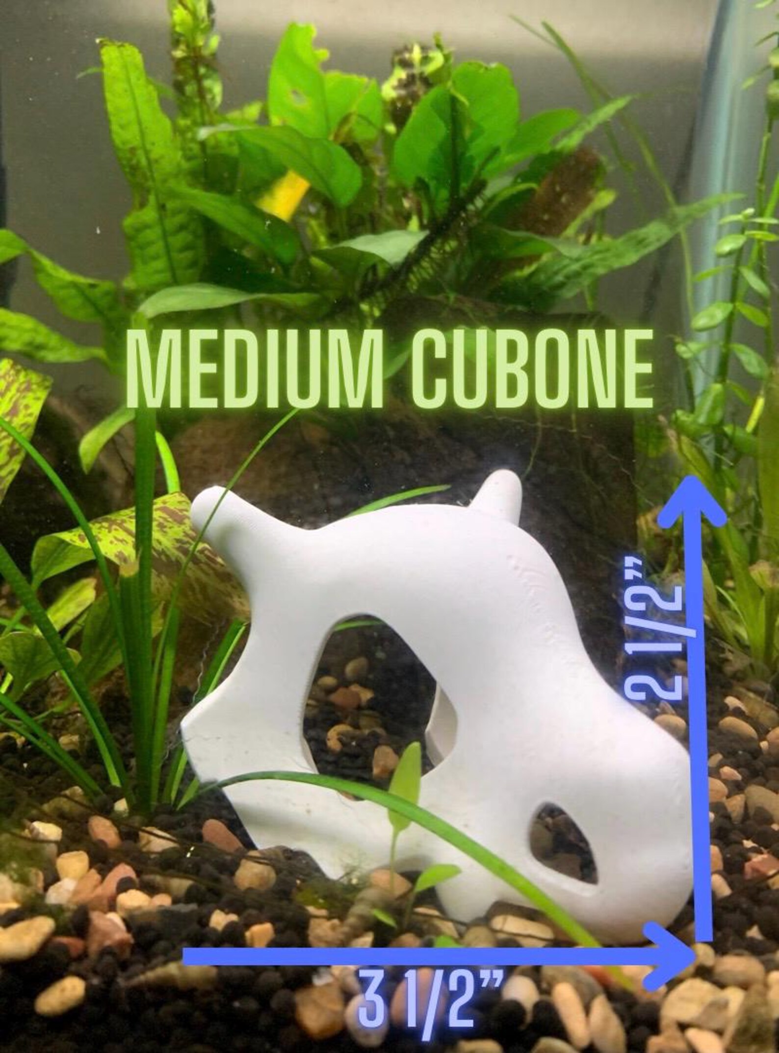 Pokémon Aquarium Decor - Pikachu, Eevee, Lugia, Shiny Mew, Umbreon ...