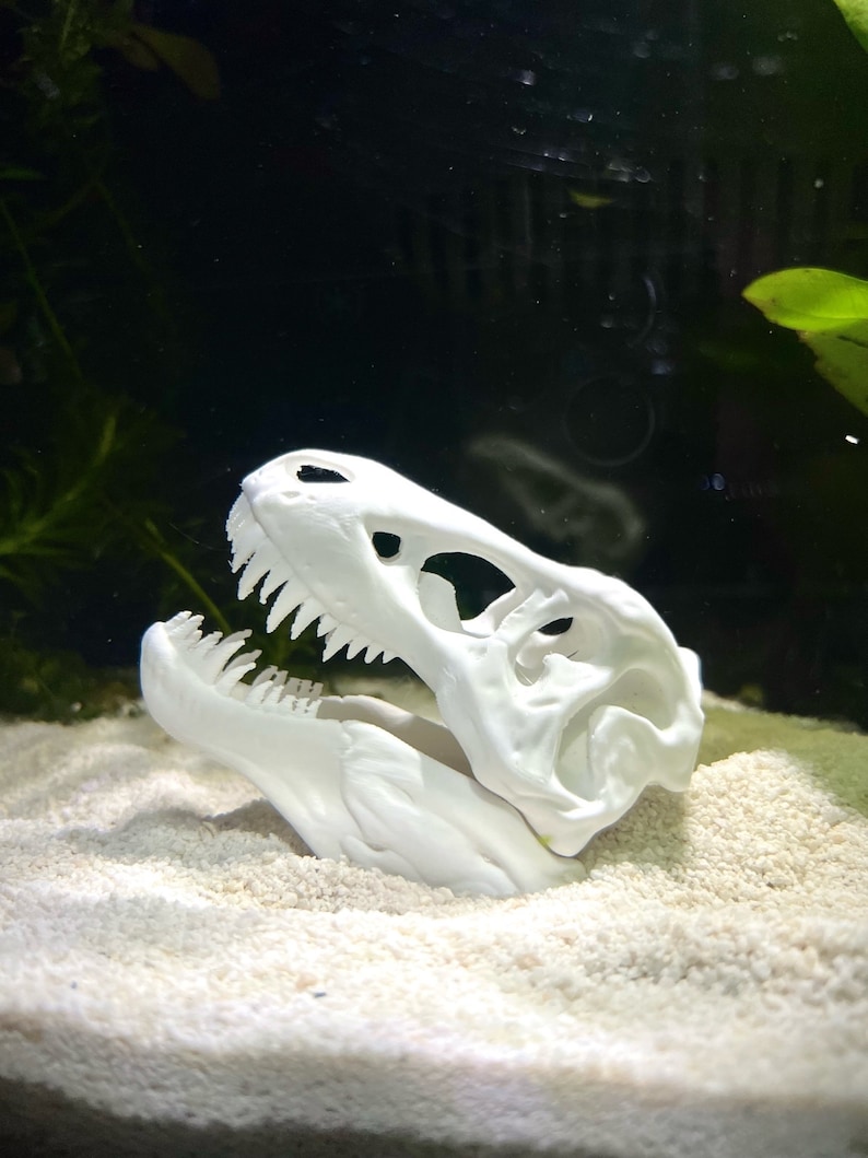 T Rex Aquarium Decoration White Dinosaur Fish Tank Decor - Etsy