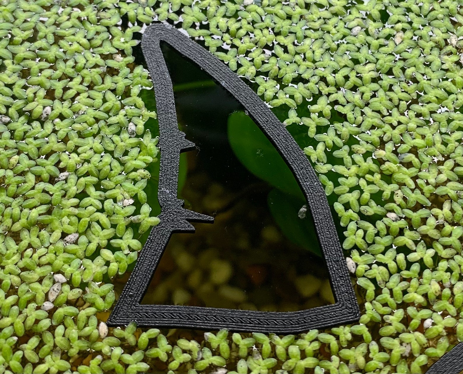 3 Pack Floating Fish Feeder Food Separator Custom Designs | Etsy