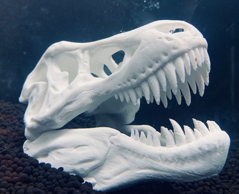 T Rex Aquarium Decoration White Dinosaur Fish Tank Decor - Etsy