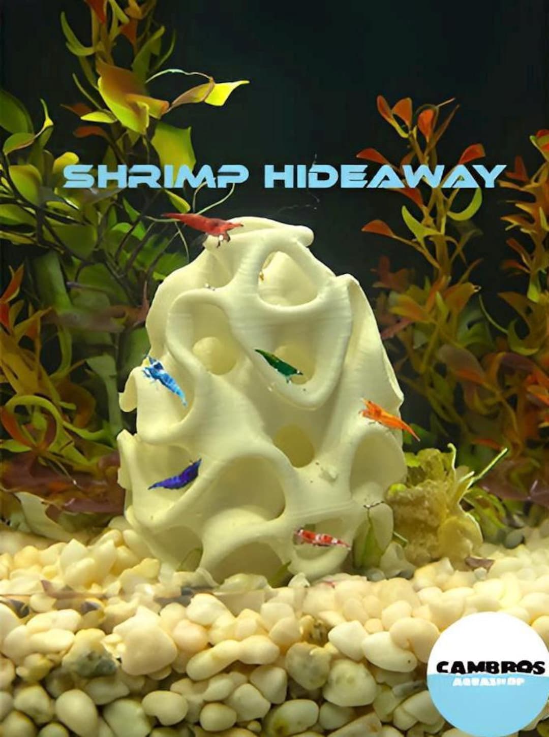 L**new!**l Shrimp Egg Hideaway | Unique Housing for Shrimp/fish ...