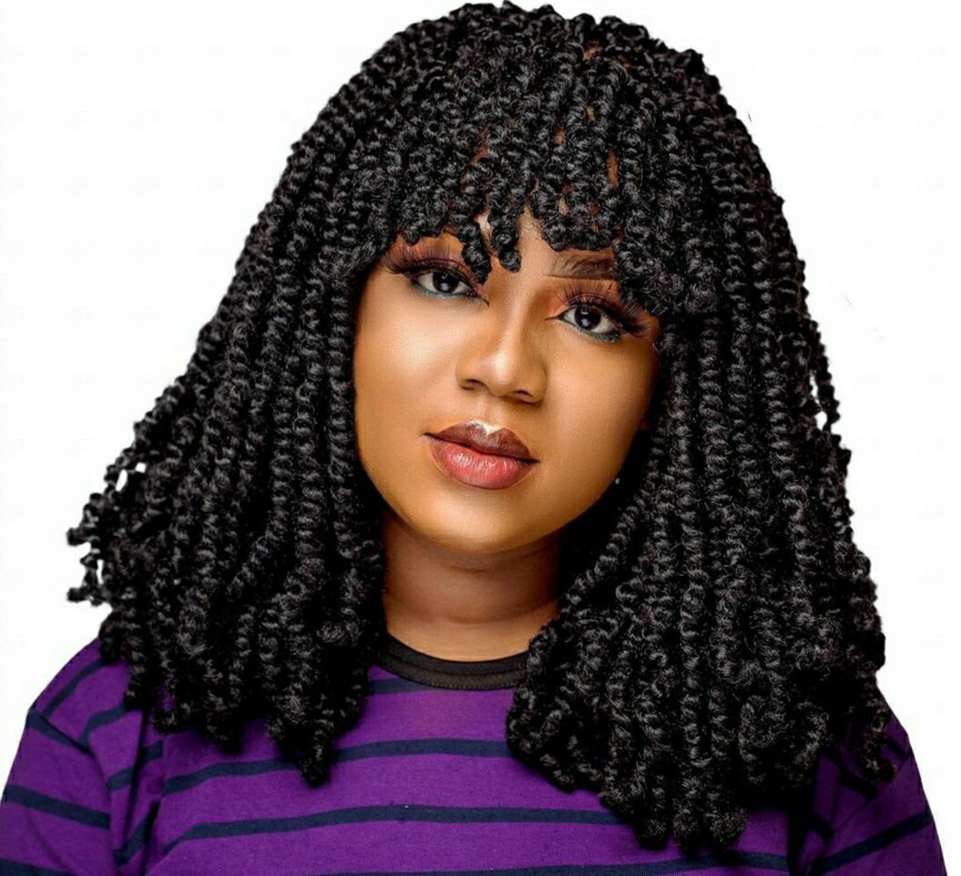 Spring Twists Braided Wigfront Lace Wig Cornrow Wig Passion - Etsy