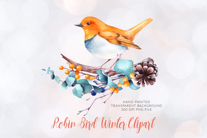 Watercolor Christmas Clip Art. Robin Bird Clip Art. Watercolor - Etsy
