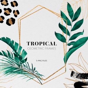 Tropical Geometric Frames. Gold Tropical Frames PNG. Green Palm Tree ...