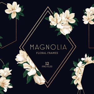 Magnolia Floral Frames Clipart/blossom/wedding/white Magnolia Flowers ...