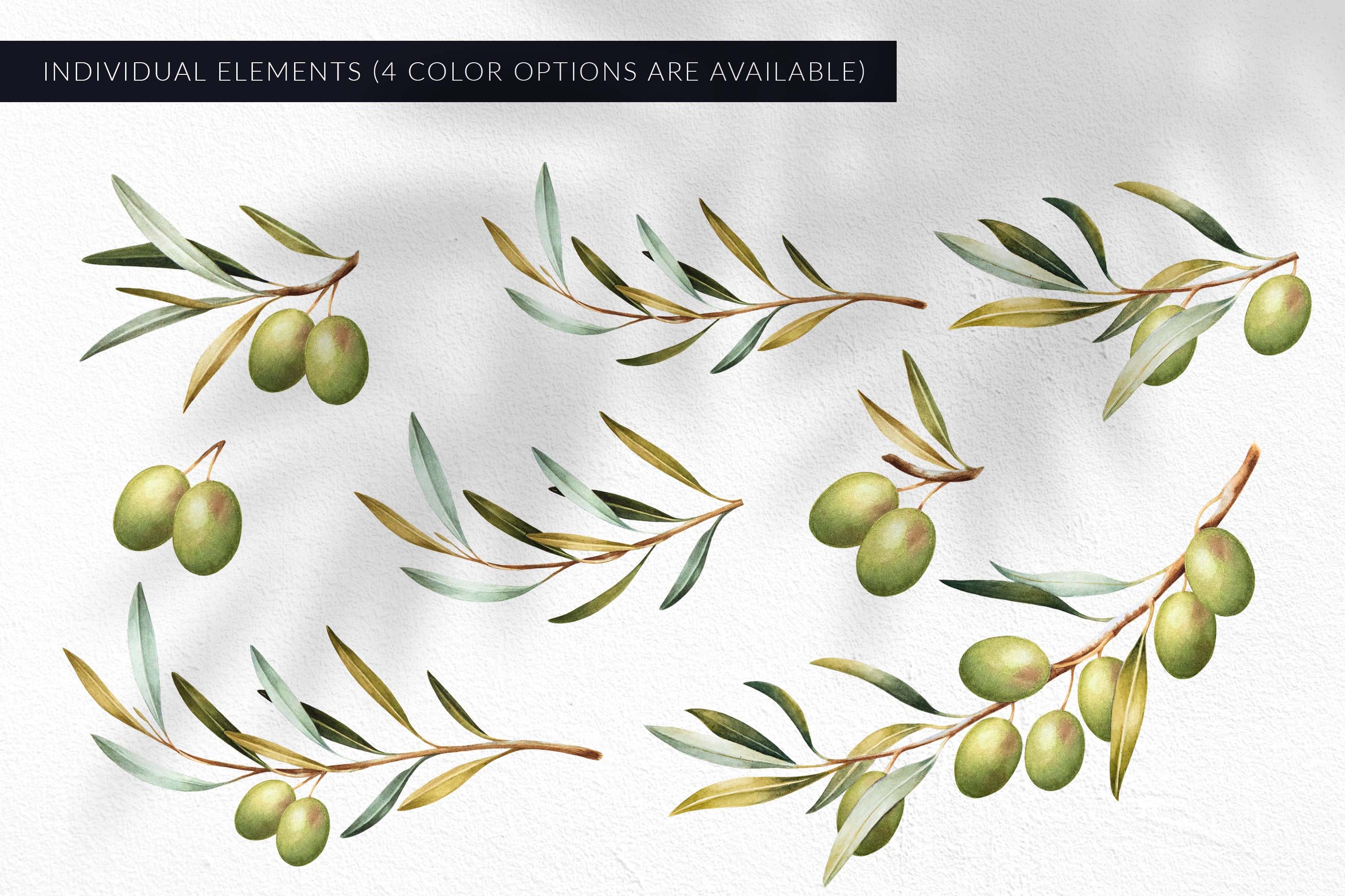 Olive Branch Clipart/olive Tree Png/patterns/greenery/olive - Etsy