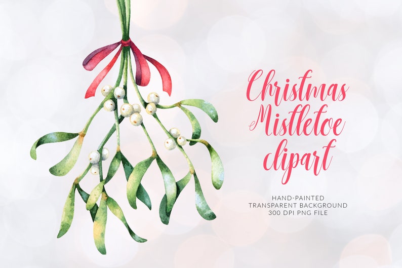 Christmas Mistletoe Clipart. Watercolor Winter Greenery PNG. | Etsy