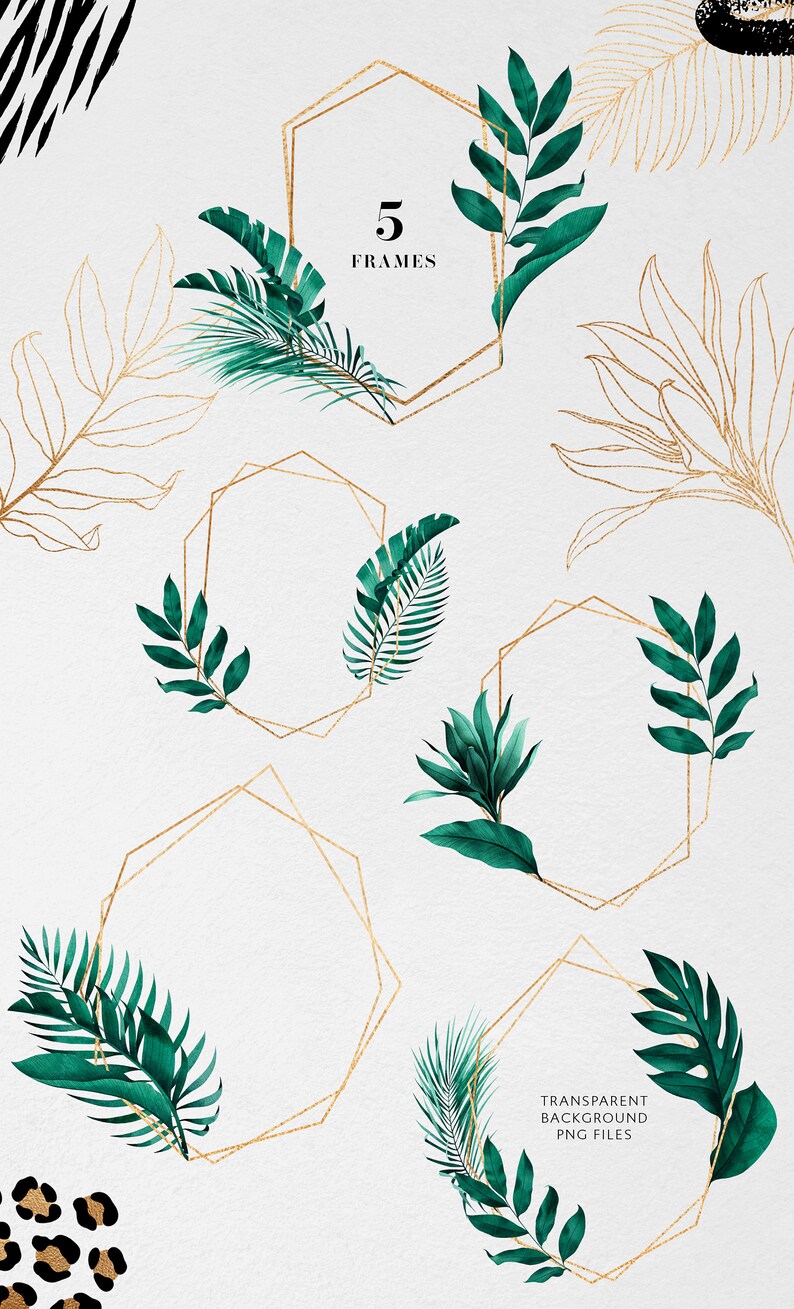 Tropical Geometric Frames. Gold Tropical Frames PNG. Green Palm Tree ...