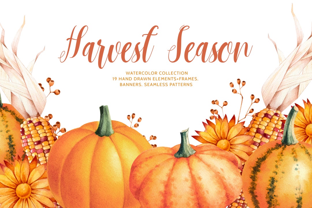 Pumpkin, Corn and Fall Leaves Clipart. Autumn Arrangements Png ...
