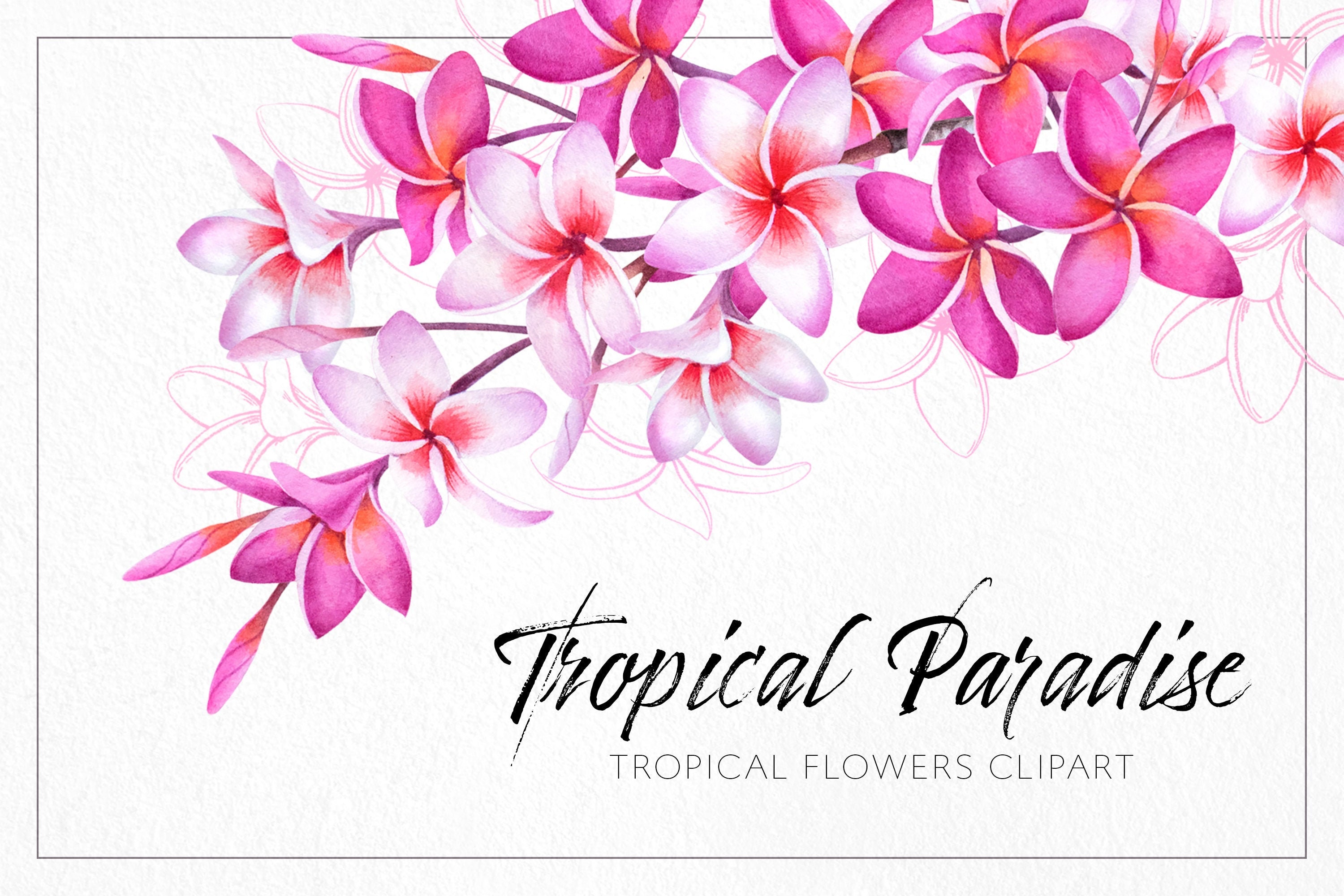 Pink Hawaiian Flowers Clip Art