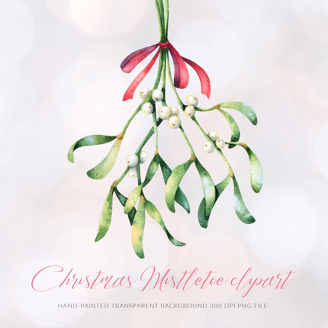 Christmas Mistletoe Clipart. Watercolor Winter Greenery PNG. Hanging ...