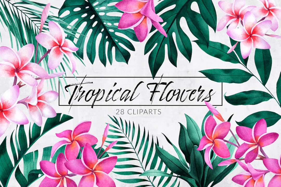 Watercolor Tropical Leaves and Flowers Clipart. Exotic Plants Digital ...