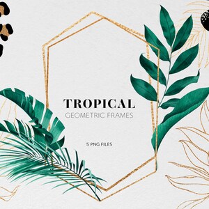 Tropical Geometric Frames. Gold Tropical Frames PNG. Green Palm Tree ...