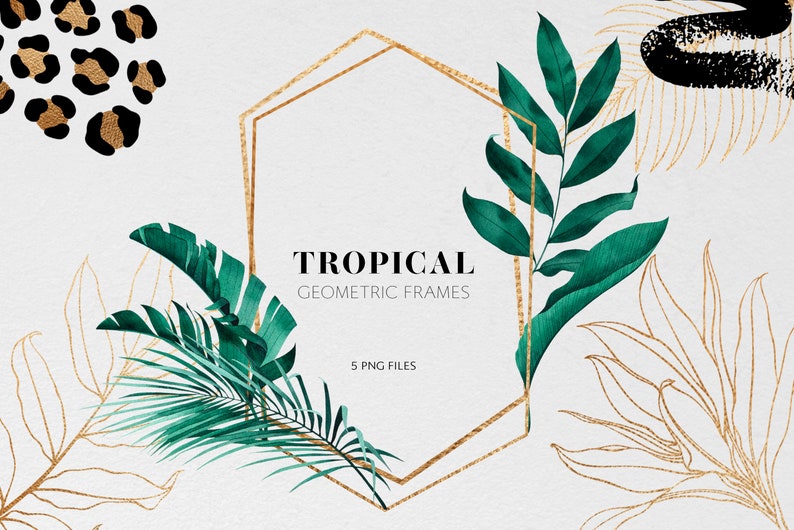 Tropical Geometric Frames. Gold Tropical Frames PNG. Green Palm Tree ...