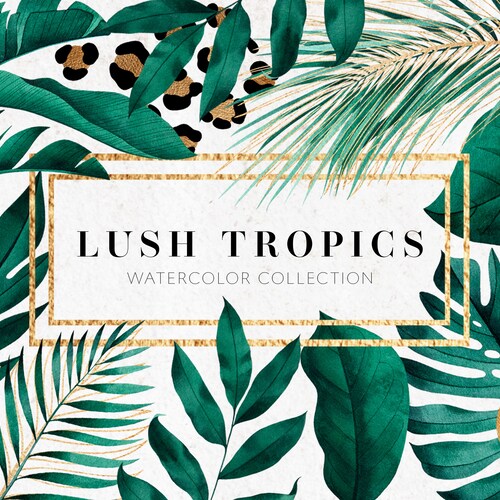 Watercolor Tropical Leaves and Flowers Clipart. Exotic Plants - Etsy