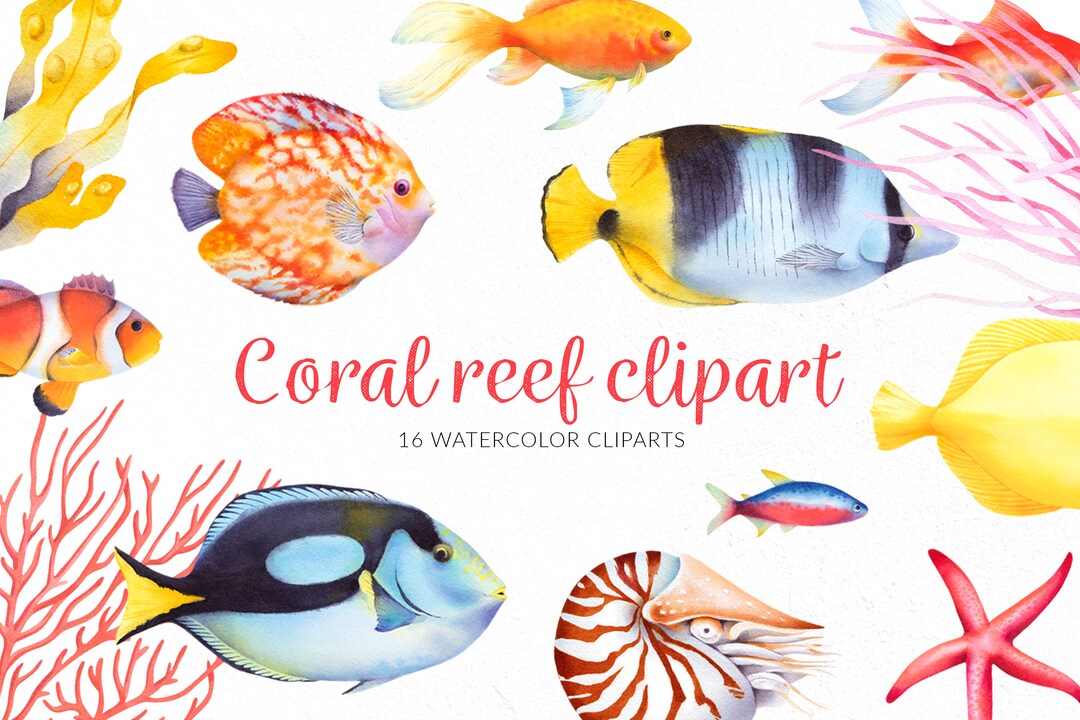 Watercolor Tropical Fish Clipart. Coral Reef Clipart. Ocean - Etsy
