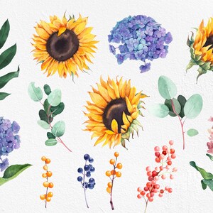 Summer Flowers Clipart/watercolor Florals/sunflowers/hydrangea/hand ...