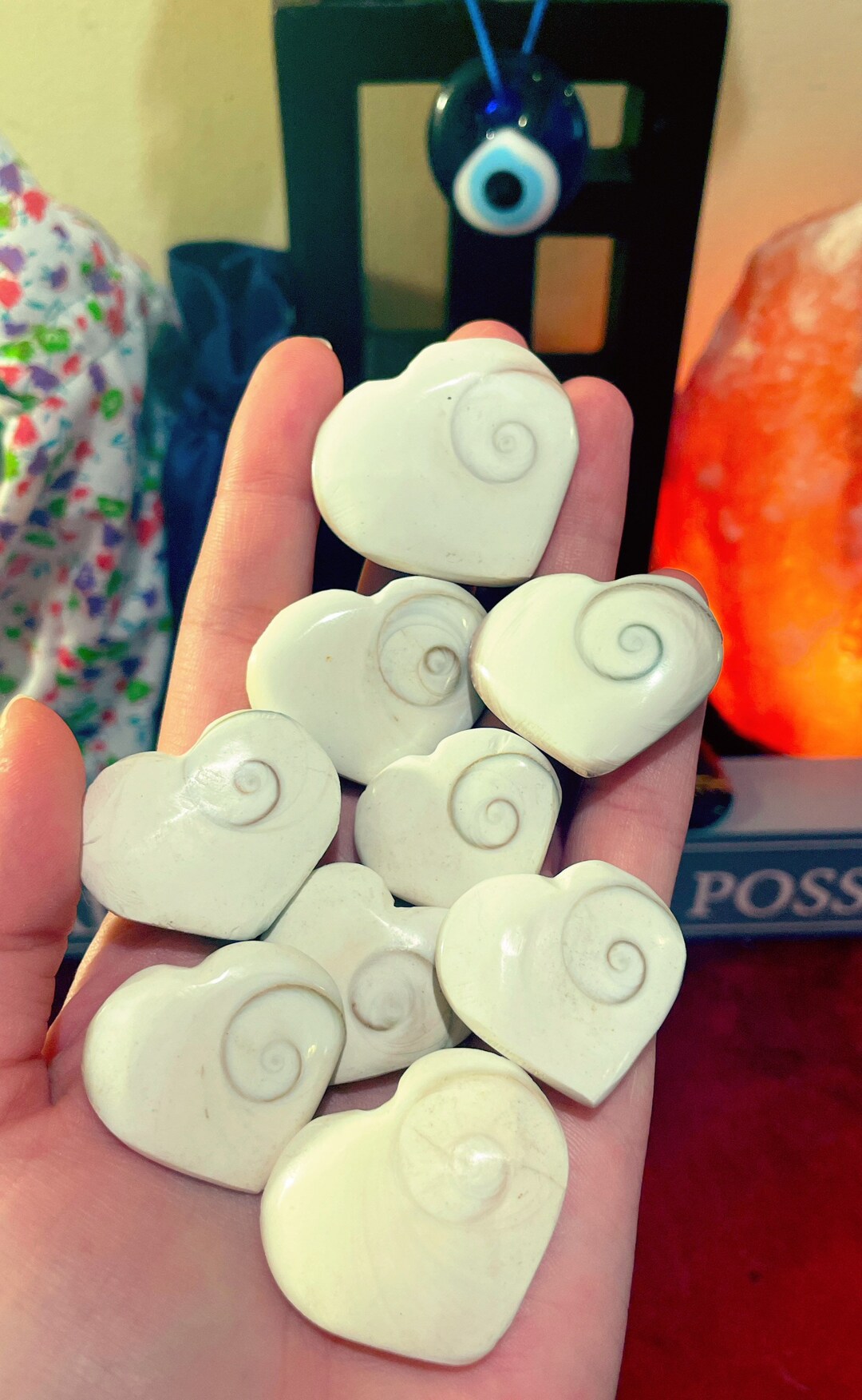 Heart Shape Shiva Shells for Opening the Third Eye Chakra, Psychic Abilities, Ward off Bad ...