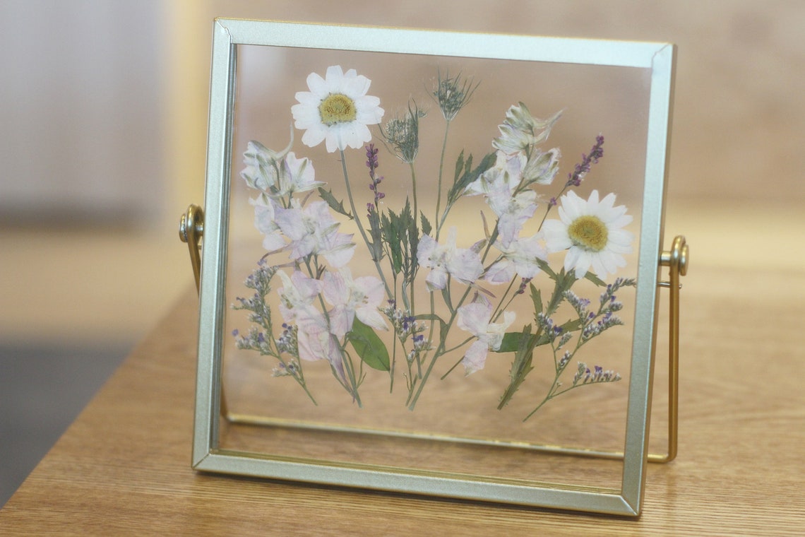 Herbarium Floating Frame Botanical Art Frame Pressed Dried - Etsy