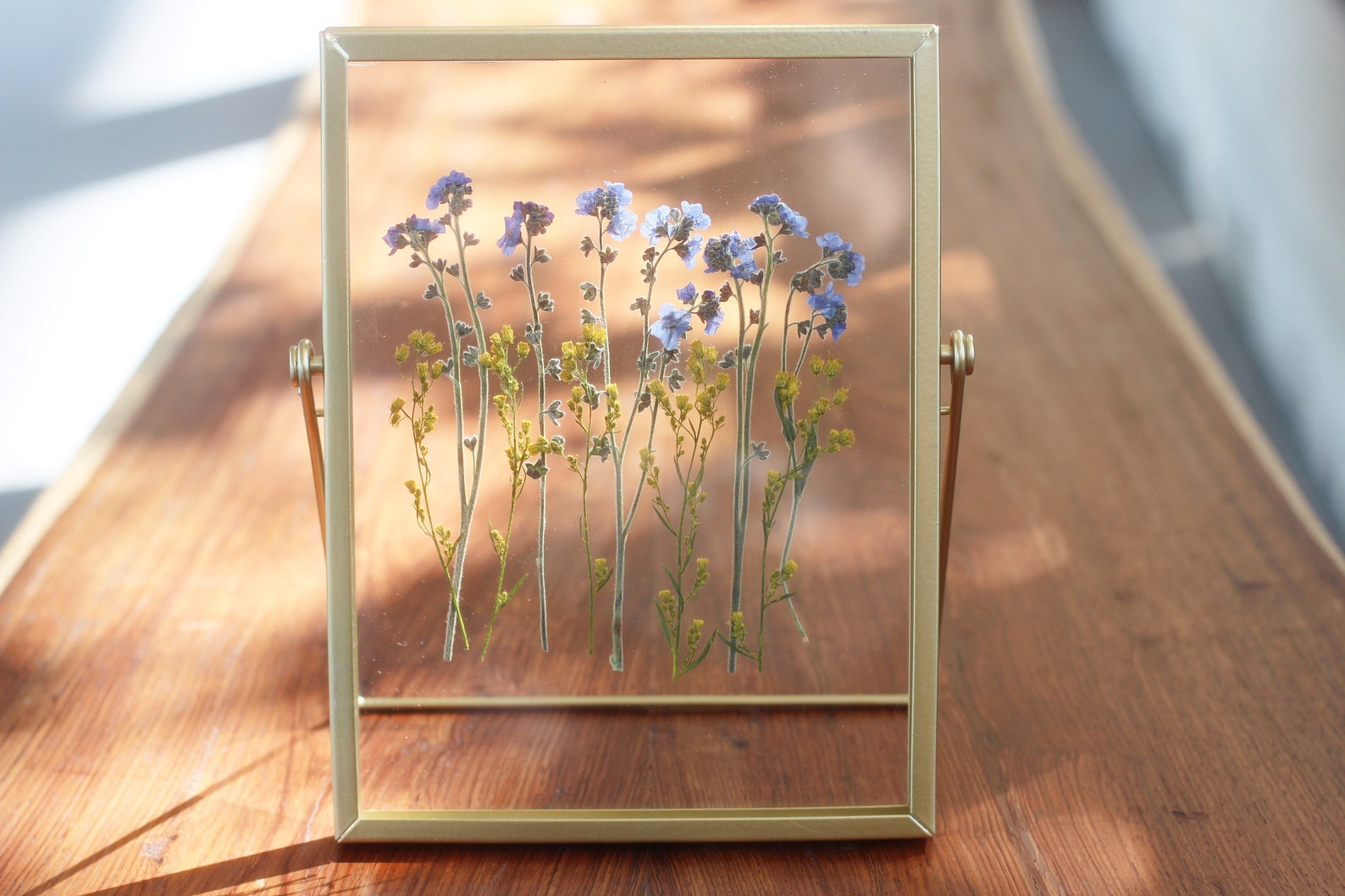 Pressed Flower Frame Pressed Flower Floating Frame Real - Etsy