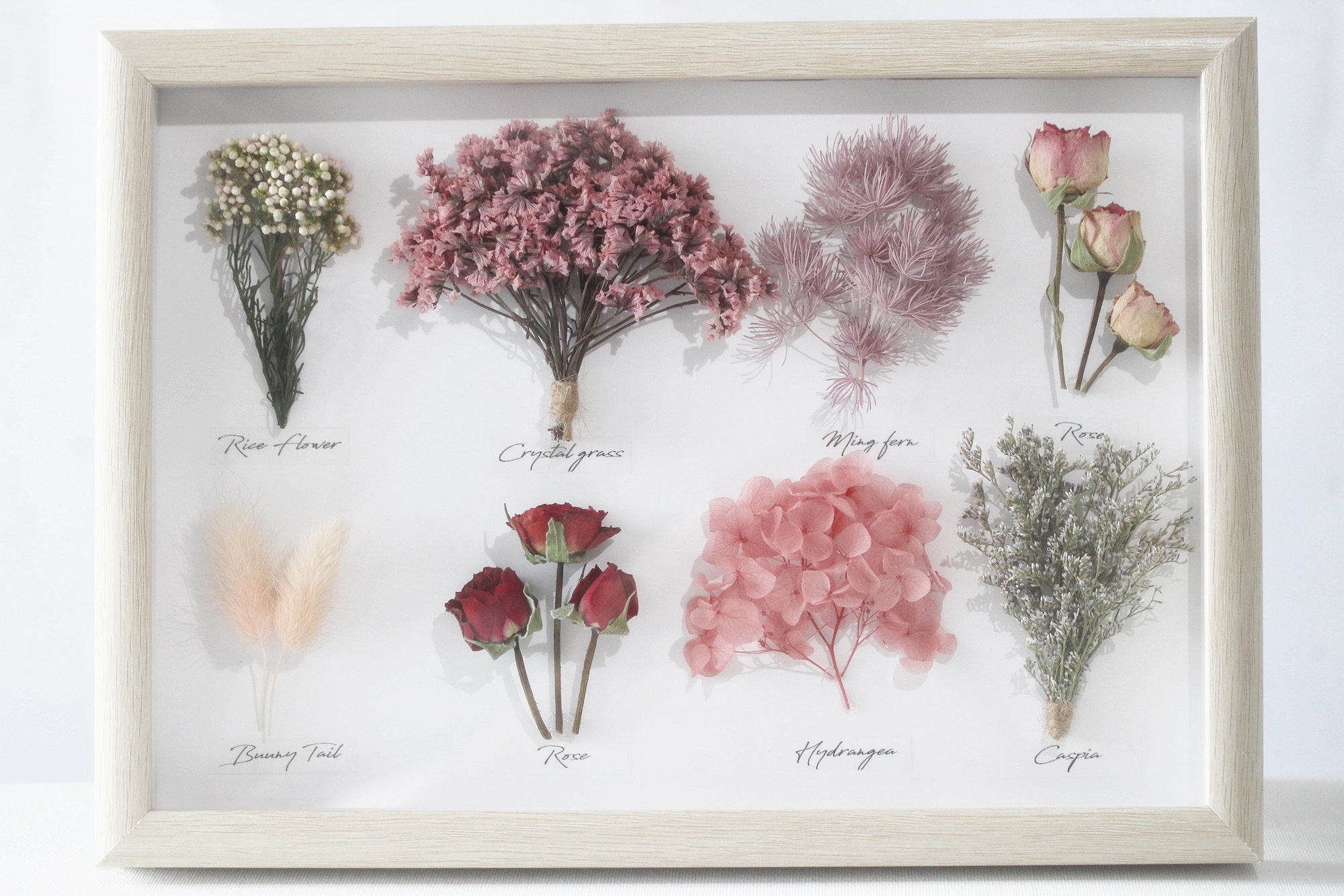 Herbarium Dried Natural Flower Frame, Nature Dried Flower Frame, Plants ...