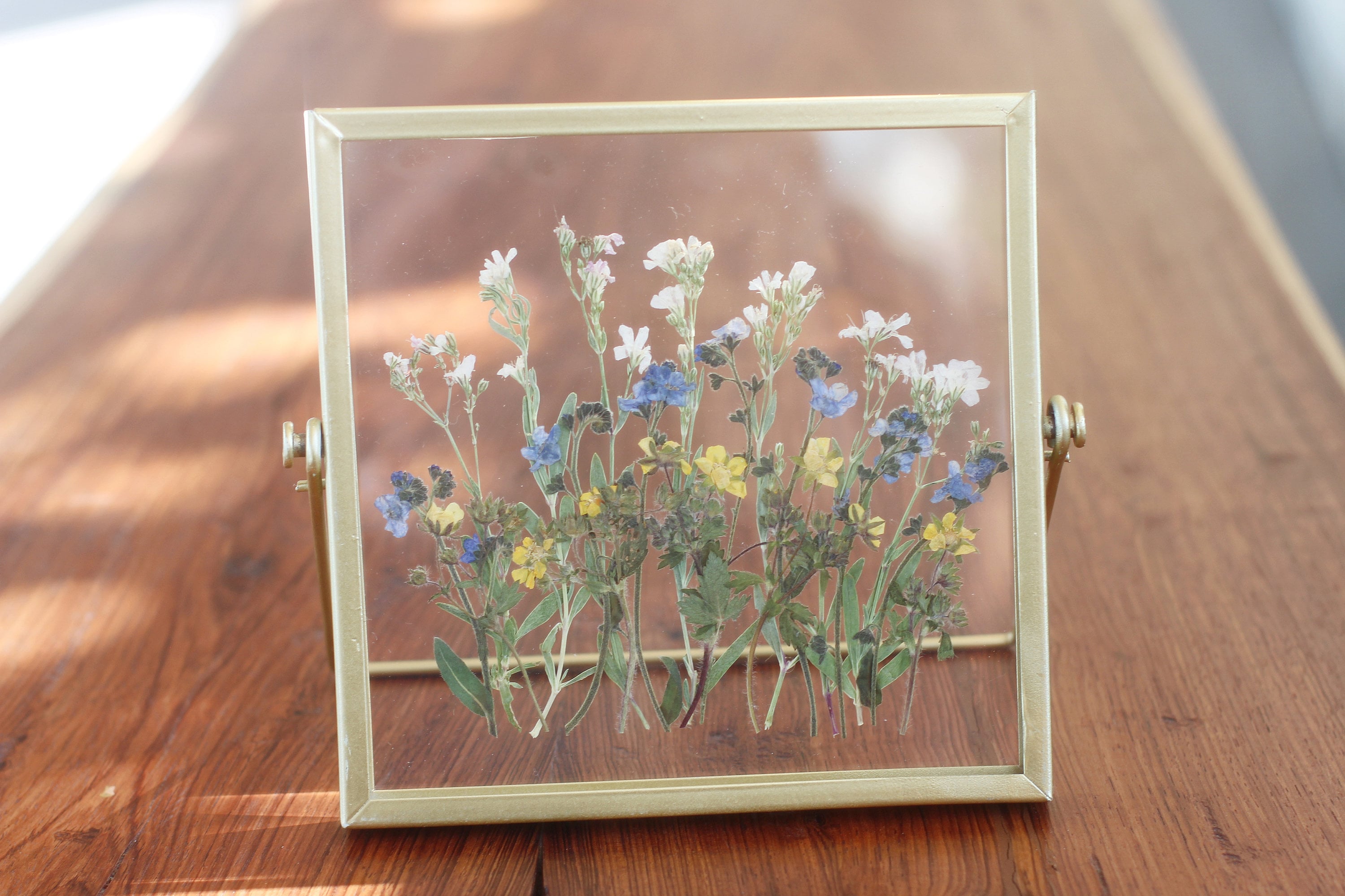 Pressed Flower Frame Pressed Flower Floating Frame Real Pressed Flower ...