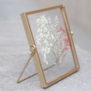 Pressed Flower Frame, Pressed Flower Floating Frame, Herbarium Frame ...