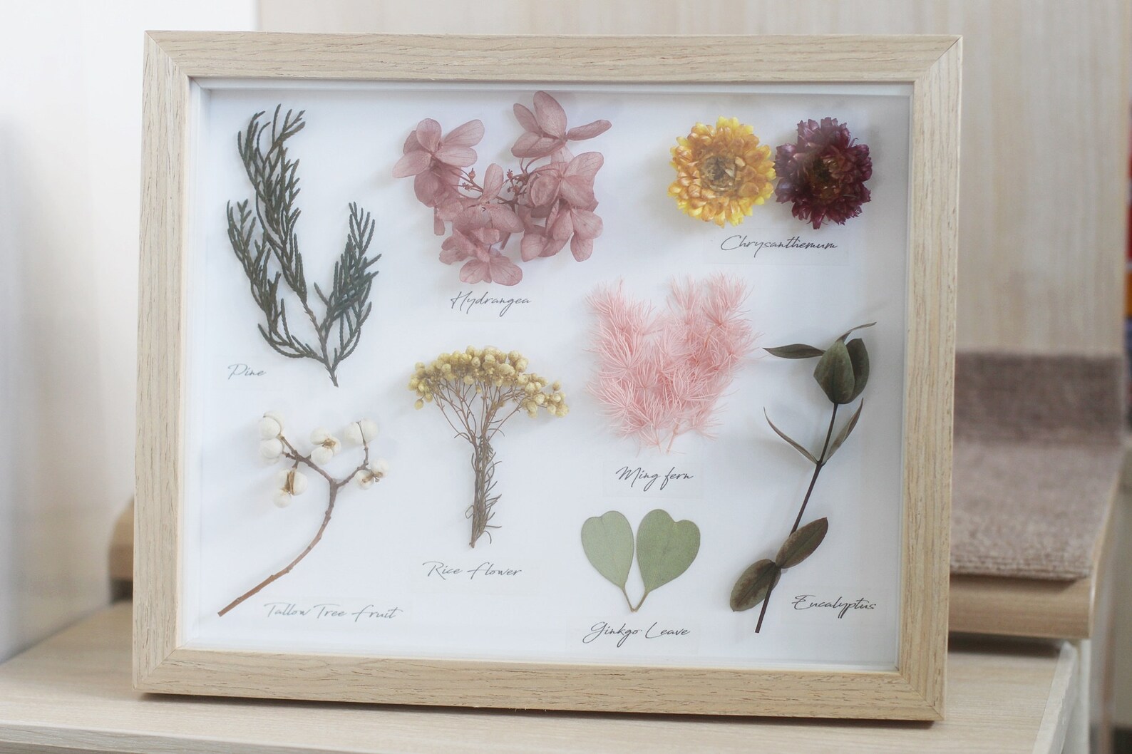 Herbarium Real Natural Driedflower Specimen Frame for Home Decor, 3D ...
