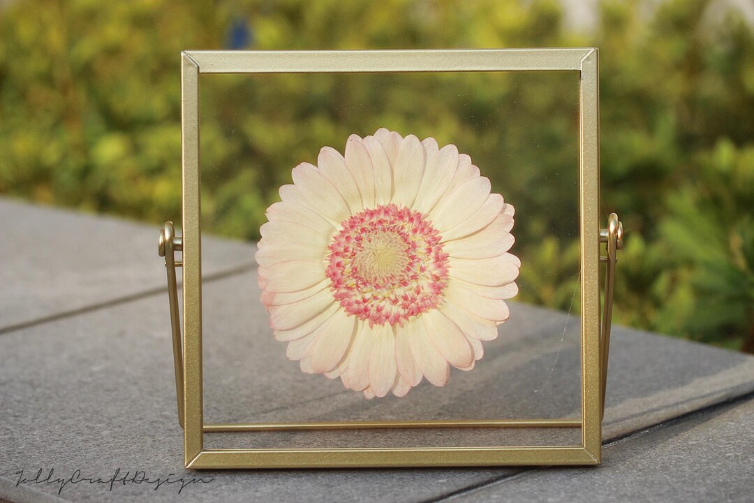 Light Pink Pressed Flower Frame, Floral Frame, Herbarium Frame ...