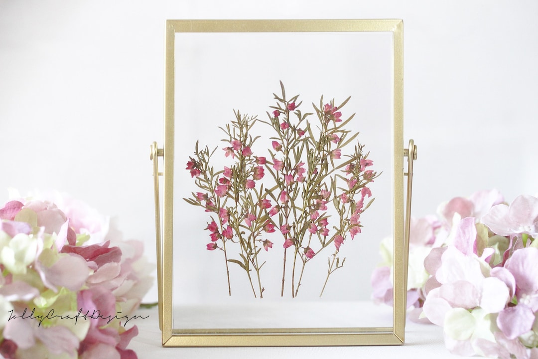 Pressed Flower Frame, Pressed Flower Art, Floating Frame, Herbarium ...