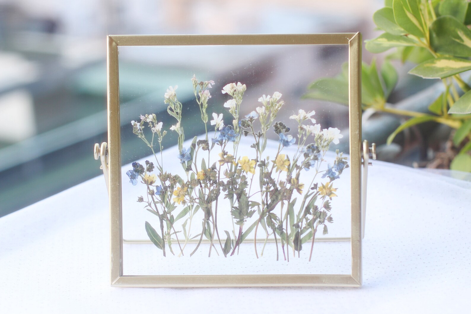 Pressed Flower Frame Pressed Flower Floating Frame Real - Etsy