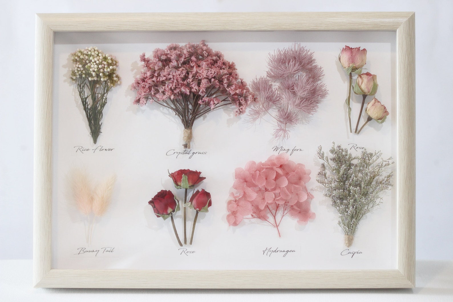 Herbarium Dried Natural Flower Frame, Nature Dried Flower Frame, Plants ...