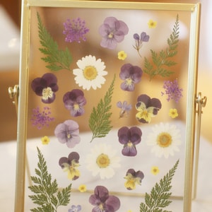 Pressed Flower Frame, Botanical Art Frame, Pressed Dried Flower Frame ...