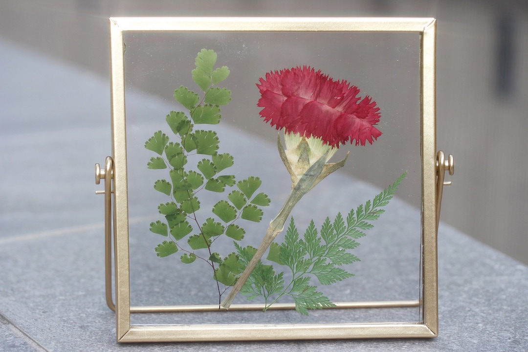 Pressed Flower Frame, Pressed Flower Floating Frame, Herbarium Frame ...