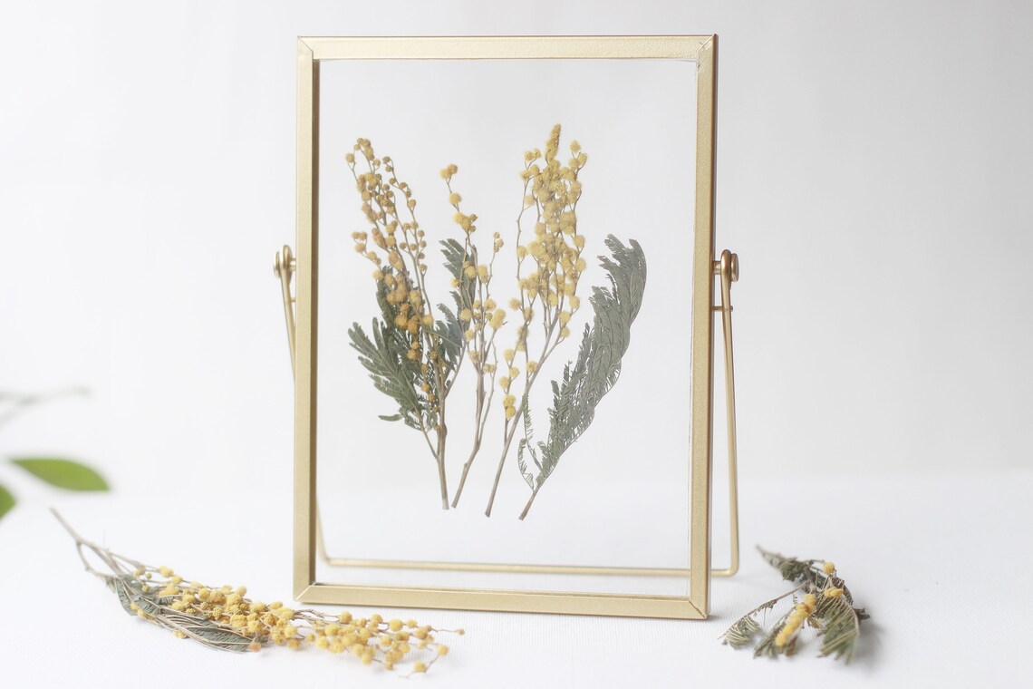 Pressed Flower Frame Real Natural Flowers Floating Stand - Etsy