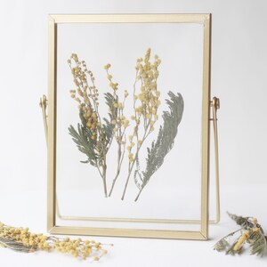 Pressed Flower Frame, Real Natural Flowers Floating Stand Frame ...
