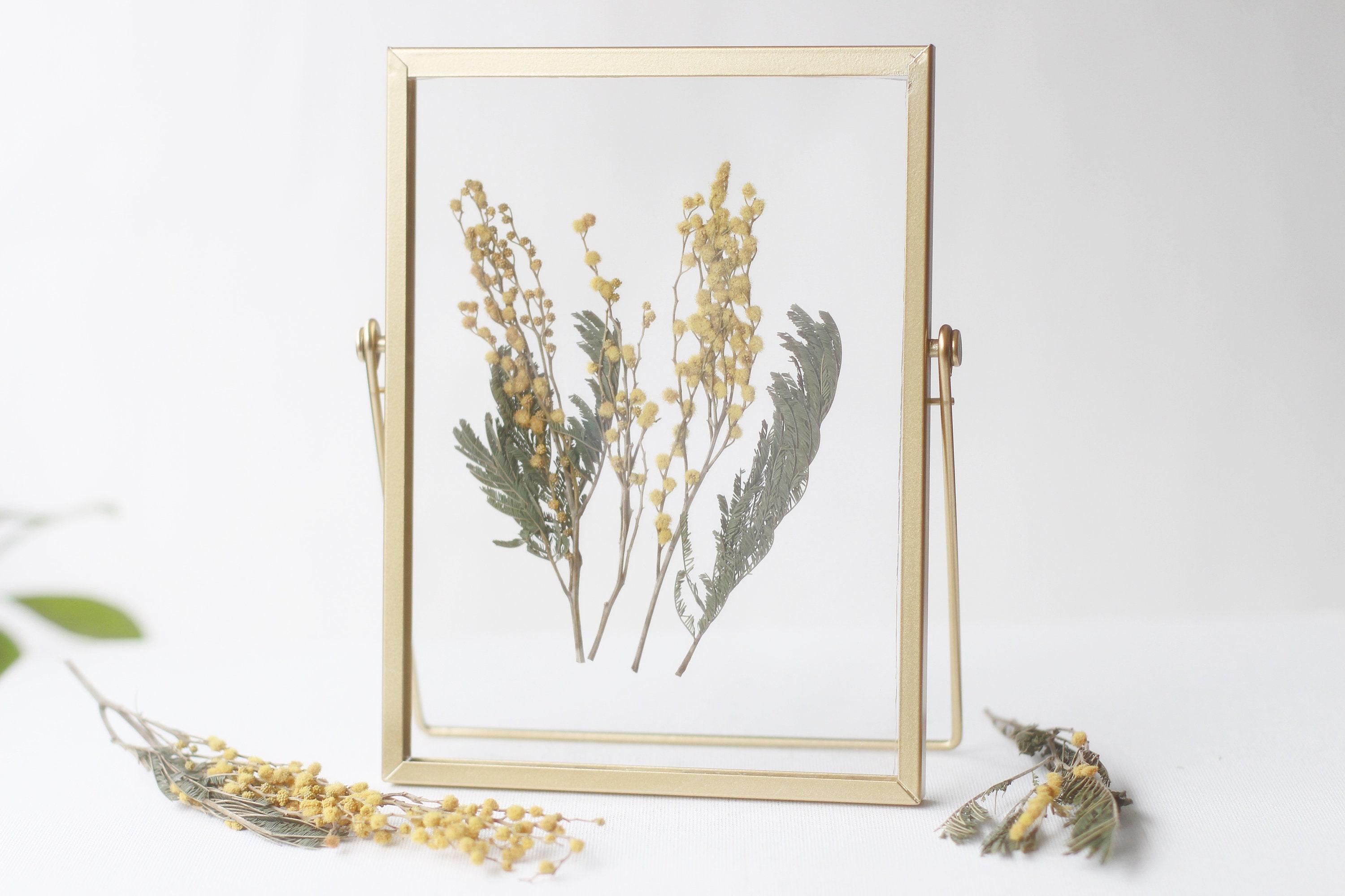 Pressed Flower Frame Real Natural Flowers Floating Stand - Etsy