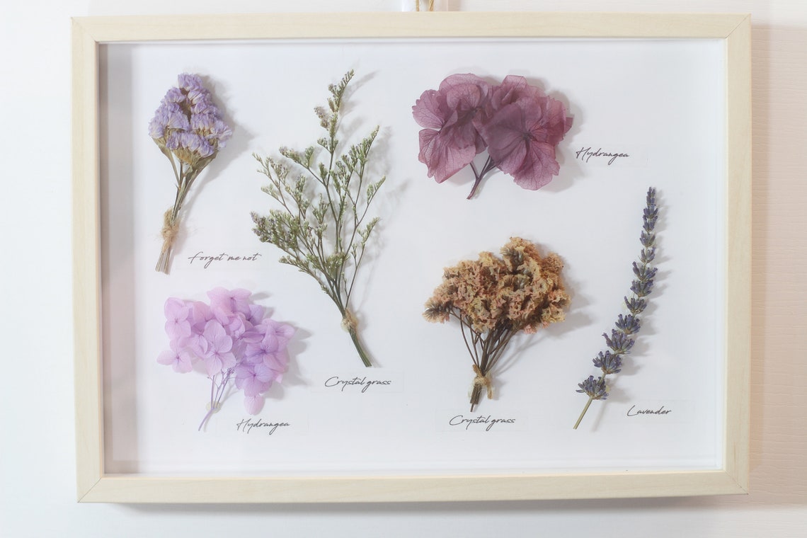 Herbarium Dried Natural Flower Frame Wall Decor 3D Nature - Etsy