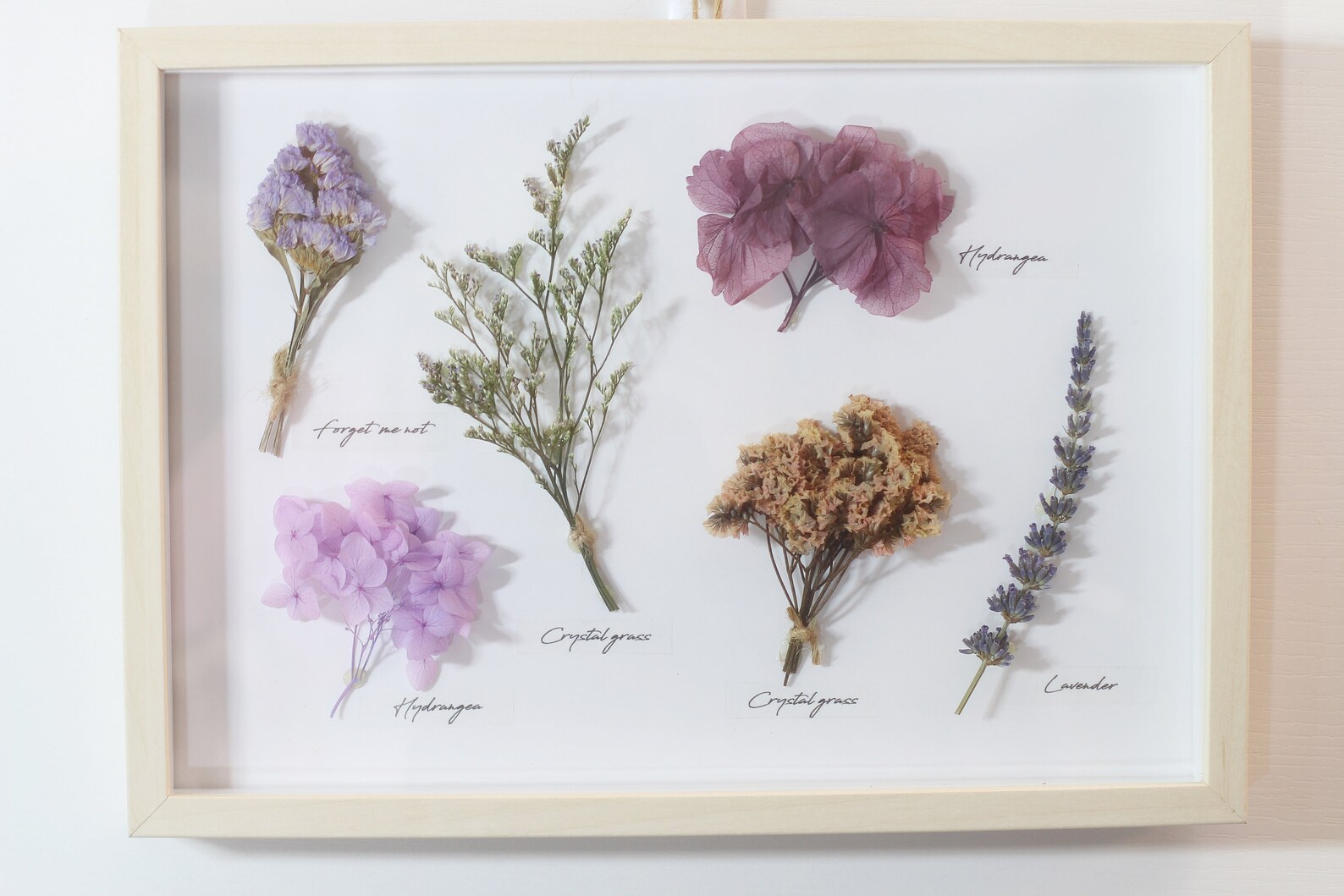 Herbarium Dried Natural Flower Frame Wall Decor 3D Nature - Etsy